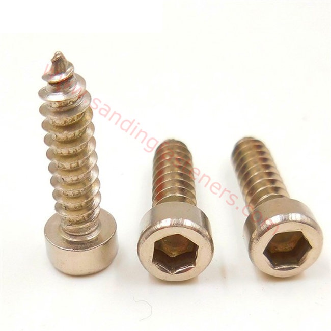stainless steel hex socket allen head tapping screw