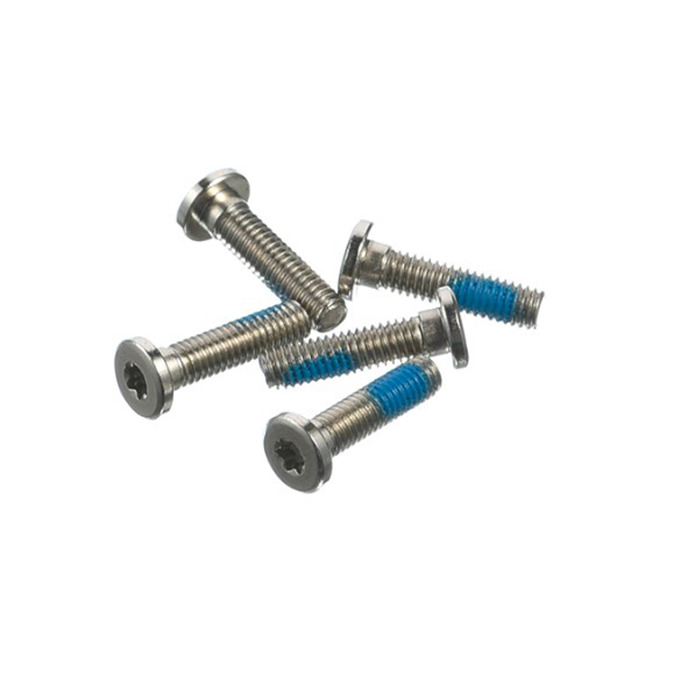 stainless steel 304 316 torx drive step cap screw with blue nylon